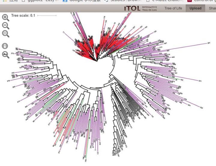 figtree如何编辑进化树_详解进化树_weixin_39978863的博客-CSDN博客