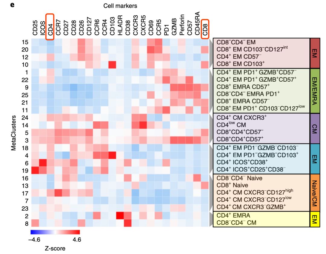 单细胞测序基础知识-CSDN博客