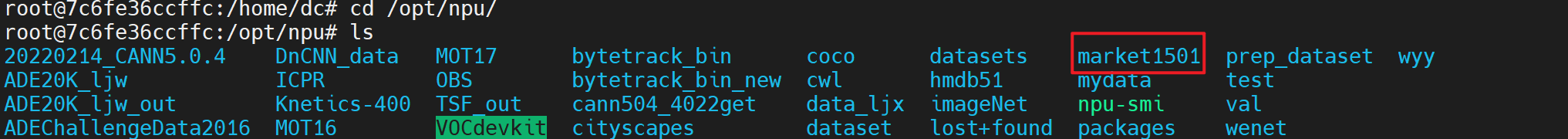 使用MindStudio进行ReID模型ONNX推理_reid模式的onnx模型-CSDN博客