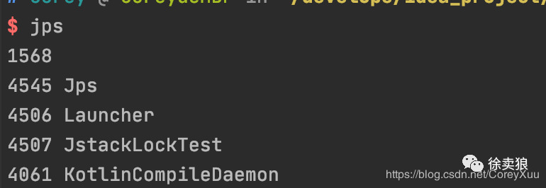jstack 命令的使用和问题排查分析思路_jstack pid-CSDN博客