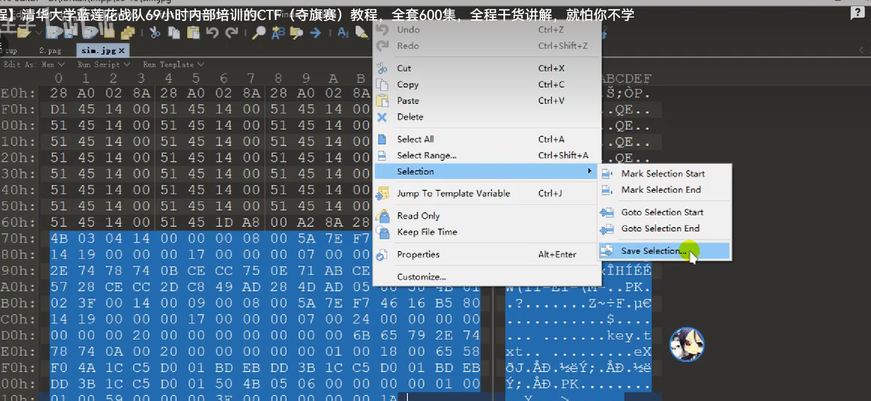 CTF杂项之文件操作与隐写_file文件中的myheart-CSDN博客