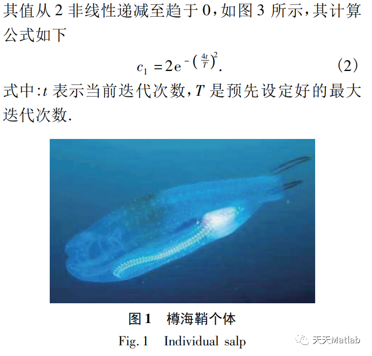 【优化求解】基于折射反向学习机制与自适应控制因子改进樽海鞘群算法求解单目标优化问题matlab代码(RCSSA)_反向学习matlab代码-CSDN博客