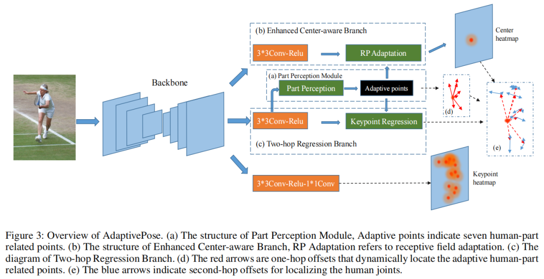 姿态估计SOTA！AdaptivePose：基于CenterNet究竟还可以做多少事？-CSDN博客