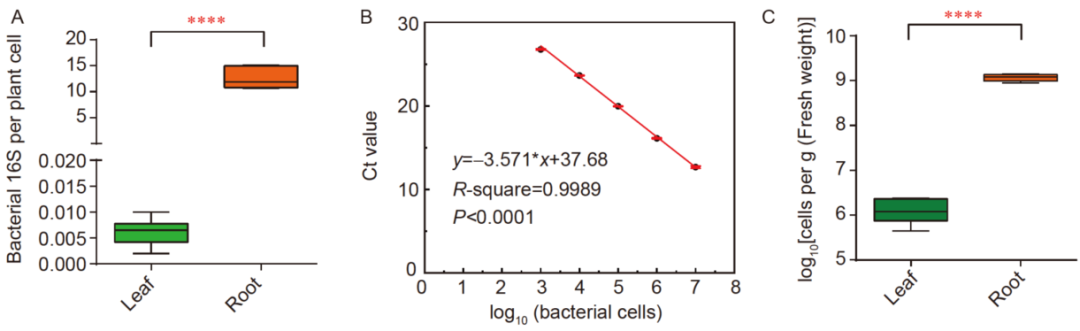 SCLS：微生物所方荣祥/张莉莉团队开发植物内生细菌特异16S引物-CSDN博客