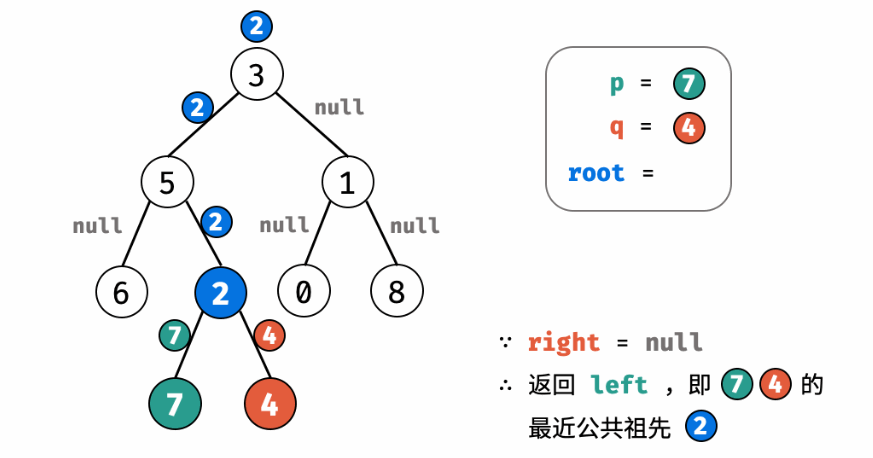 【leetcode热题100】打卡第41天:二叉树的最近公共祖先and除自身以外数组的乘积 Csdn博客