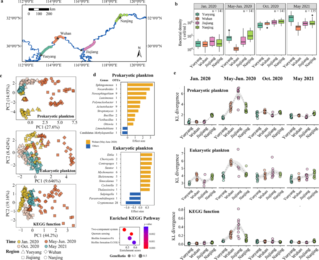 ISME Comm | COVID-19疫情期间和之后河流浮游生物群落的干扰和恢复-CSDN博客