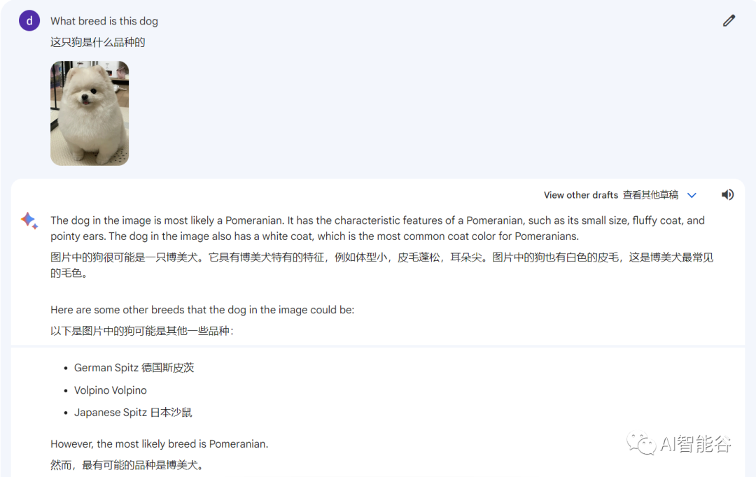 三分钟使用Google Bard模型：搭建实时聊天页面_google bard使用-CSDN博客