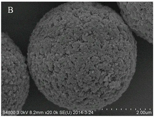 单分散/离子/石墨烯/二硫键/环糊精修饰二氧化硅微球的相关制备与性能分析_stober法制备二氧化硅-CSDN博客