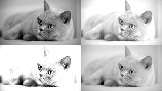 R语言图像处理EBImage包详解-CSDN博客