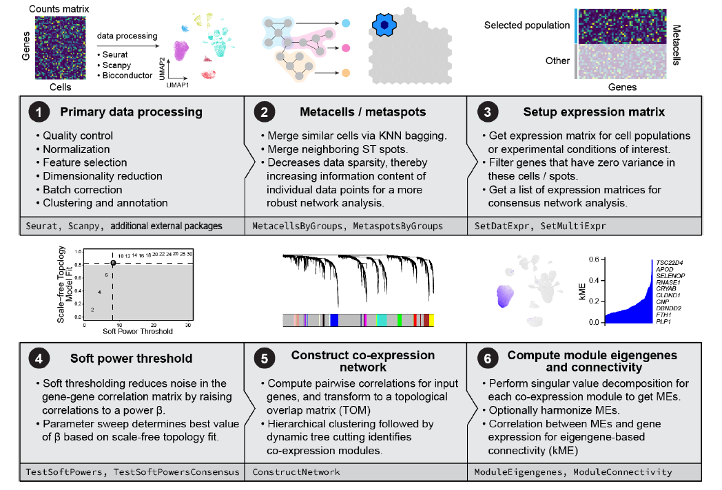针对高维数据（10X单细胞空间）的共表达网络分析（hdWGCNA）_hdwgcna找到hub基因以后怎样分析?-CSDN博客