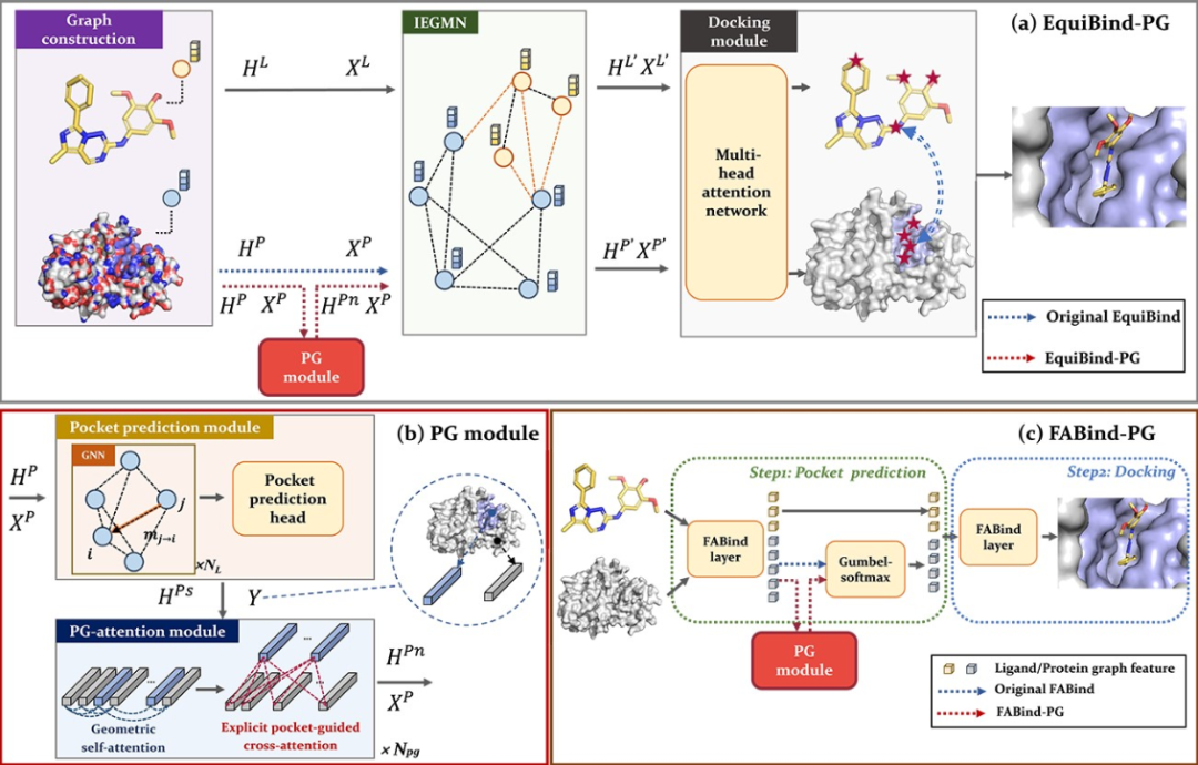 复旦大学王满宁团队提出PGBind模型，通过基于口袋引导的显性注意力机制预测蛋白质-配体对接-CSDN博客
