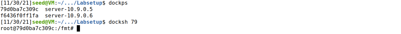 Format_String_Attack_Lab_format string attack-CSDN博客