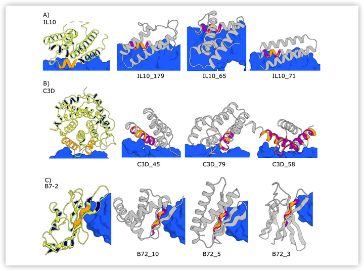 RFDesign: de novo protein design的破局者_rfjoint-CSDN博客
