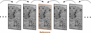 3d slicer图像配准_ImageJ实用技巧——图像自动配准(插件篇)-CSDN博客