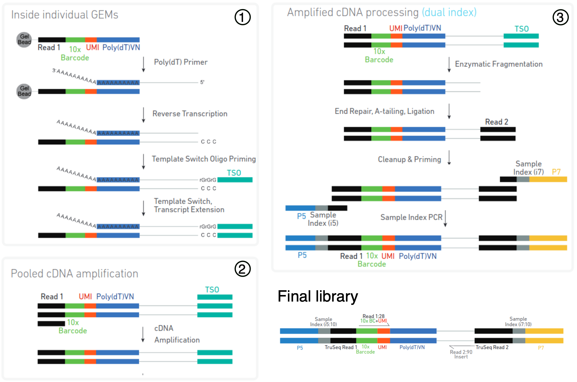scRNA-seq | 吐血整理的单细胞入门教程（从原理到代码实操）（二）_单细胞测序 代码-CSDN博客