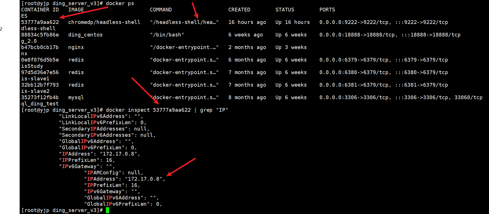 chromedp如何在CentOs7上使用_missing x server or $display-CSDN博客