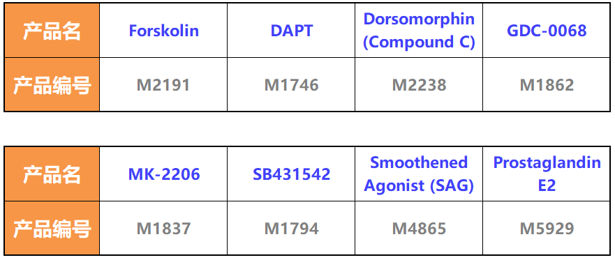 AbMole| 类器官培养中必用的明星化合物知多少？_ipsc的dapt处理-CSDN博客