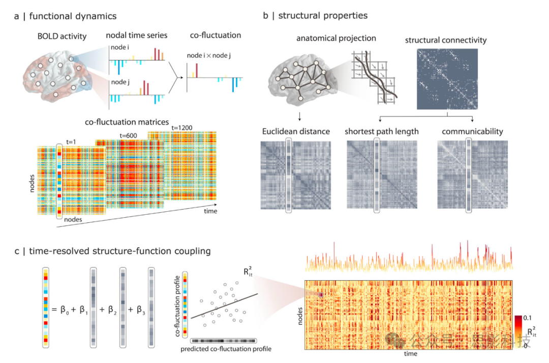脑网络中时间分辨的结构-功能耦合_脑功能 耦合-CSDN博客