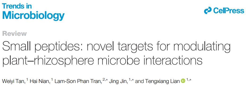 Trends Microbiol | 华南农业大学发表小肽调控植物-根际微生物互作综述-CSDN博客