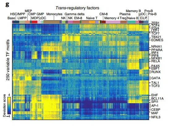 文献中的热图代码实现（热图标记感兴趣的基因,基础知识）_rowannotation-CSDN博客