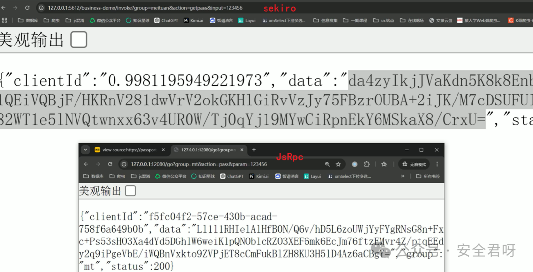 用JSRPC秒杀JS加密_burp jsrpc-CSDN博客