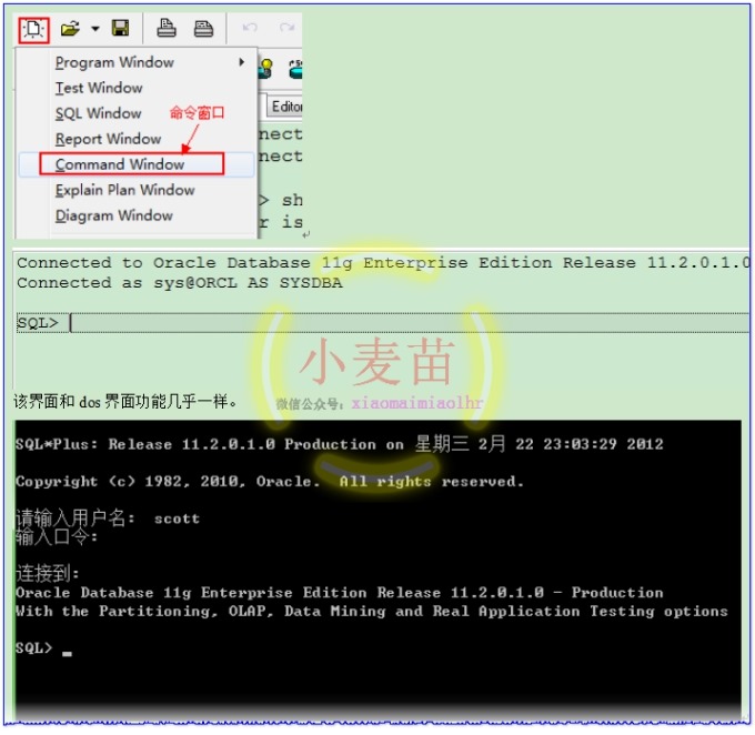 PLSQL Developer软件使用大全_plsq expaste-CSDN博客