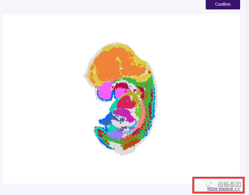 SCS【30】单细胞空间转录组学数据库(STOmics DB)-CSDN博客