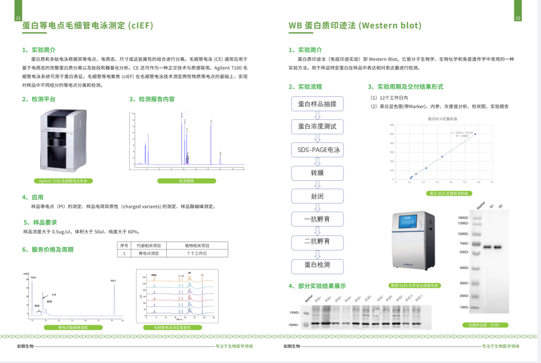 蛋白组学搜库分析软件 MaxQuant使用教程_maxquant fixedsearchfolder_avareart的博客-CSDN博客