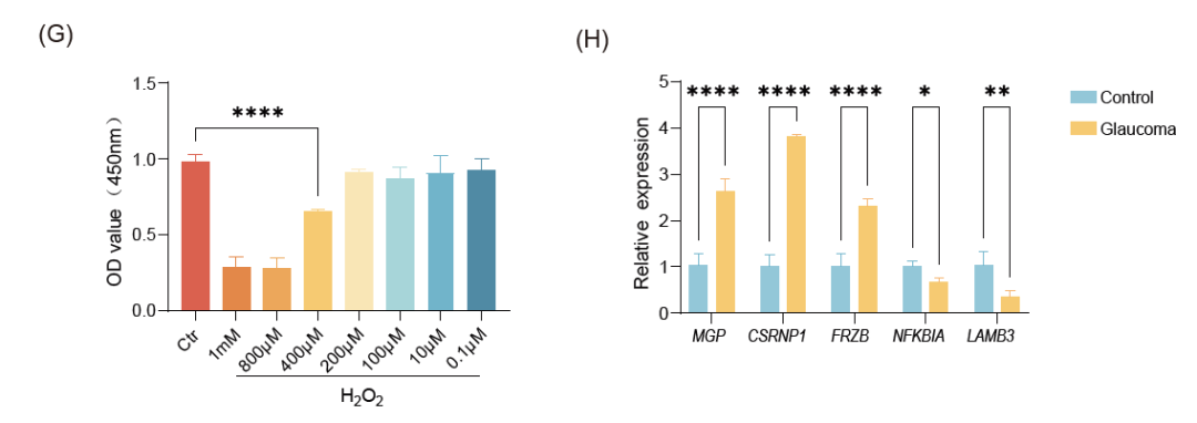 iMetaOmics | 中南大学夏晓波团队揭示青光眼和SLE发病机制新关联-CSDN博客