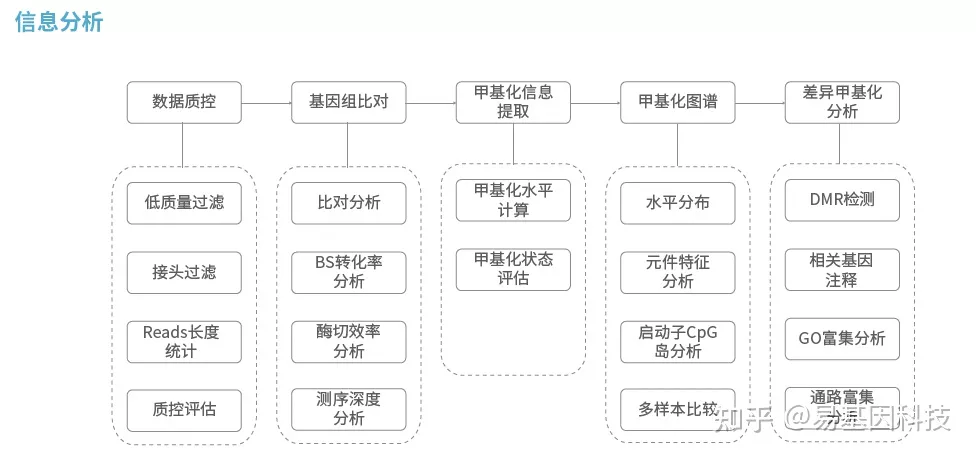 易基因｜一文读懂精准简化基因组甲基化测序(RRBS+oxRRBS)分析怎么做_rrbs测序结果怎么看-CSDN博客