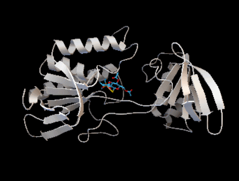Autodock金属络合物对接_涉及金属的分子对接-CSDN博客
