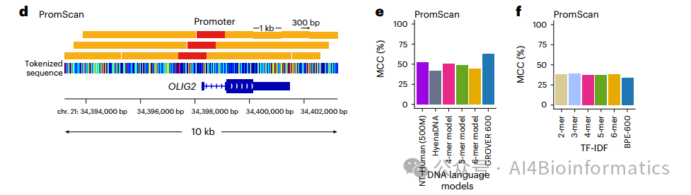 NMI 2024 | GROVER：学习人类基因组序列上下文的DNA语言模型_dna language model grover learns ...