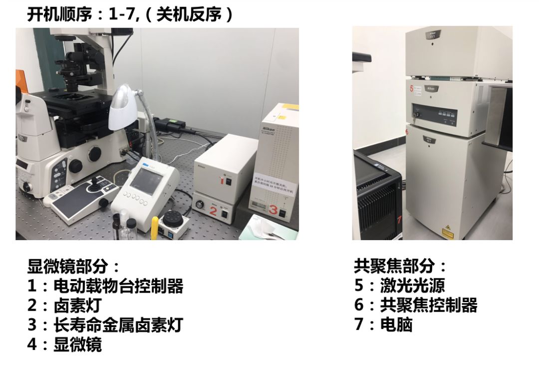 共聚焦图片怎么加标尺_单光子共聚焦显微镜操作流程及细节梳理_weixin_39760206的博客-CSDN博客