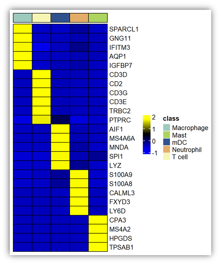 单细胞marker基因平均表达量热图_单细胞marker热图-CSDN博客
