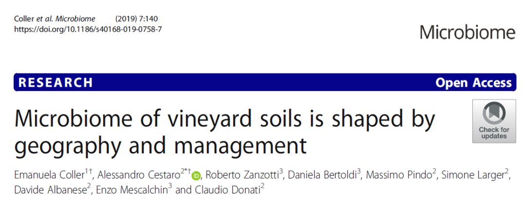 metacoder-相关进化树图的绘制于实践-CSDN博客