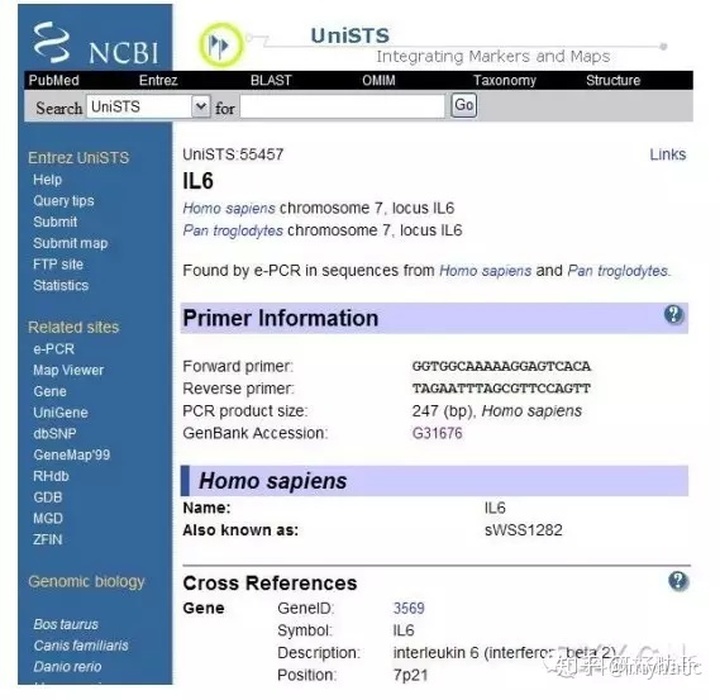 ncbi查找目的基因序列_一步一步教你使用 NCBI 查找DNA、mRNA、cDNA、 引物设计、BLAST 序列比对等...-CSDN博客