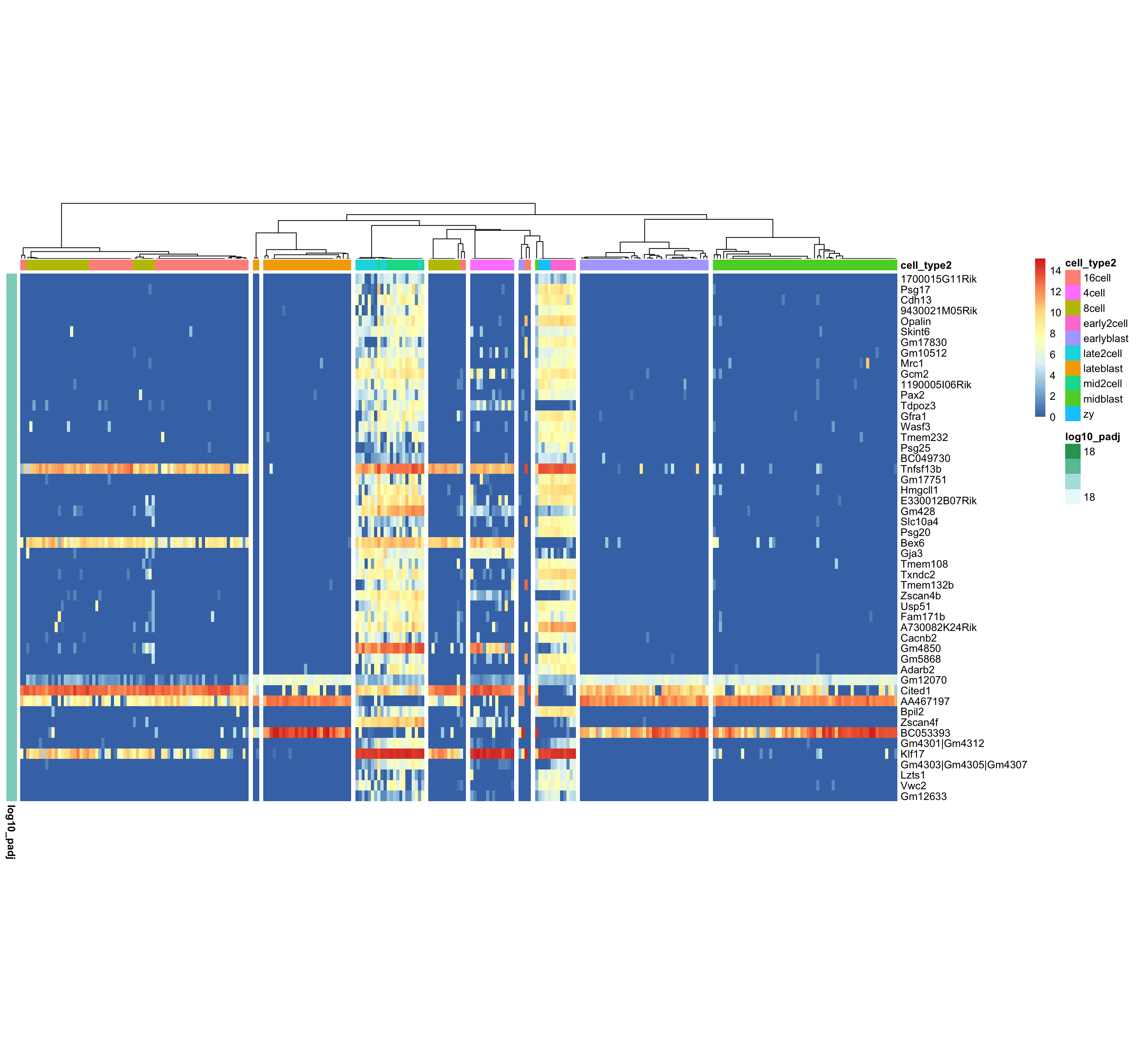 scRNA-seq | 吐血整理的单细胞入门教程（共识聚类）（十二）_共识聚类分析-CSDN博客