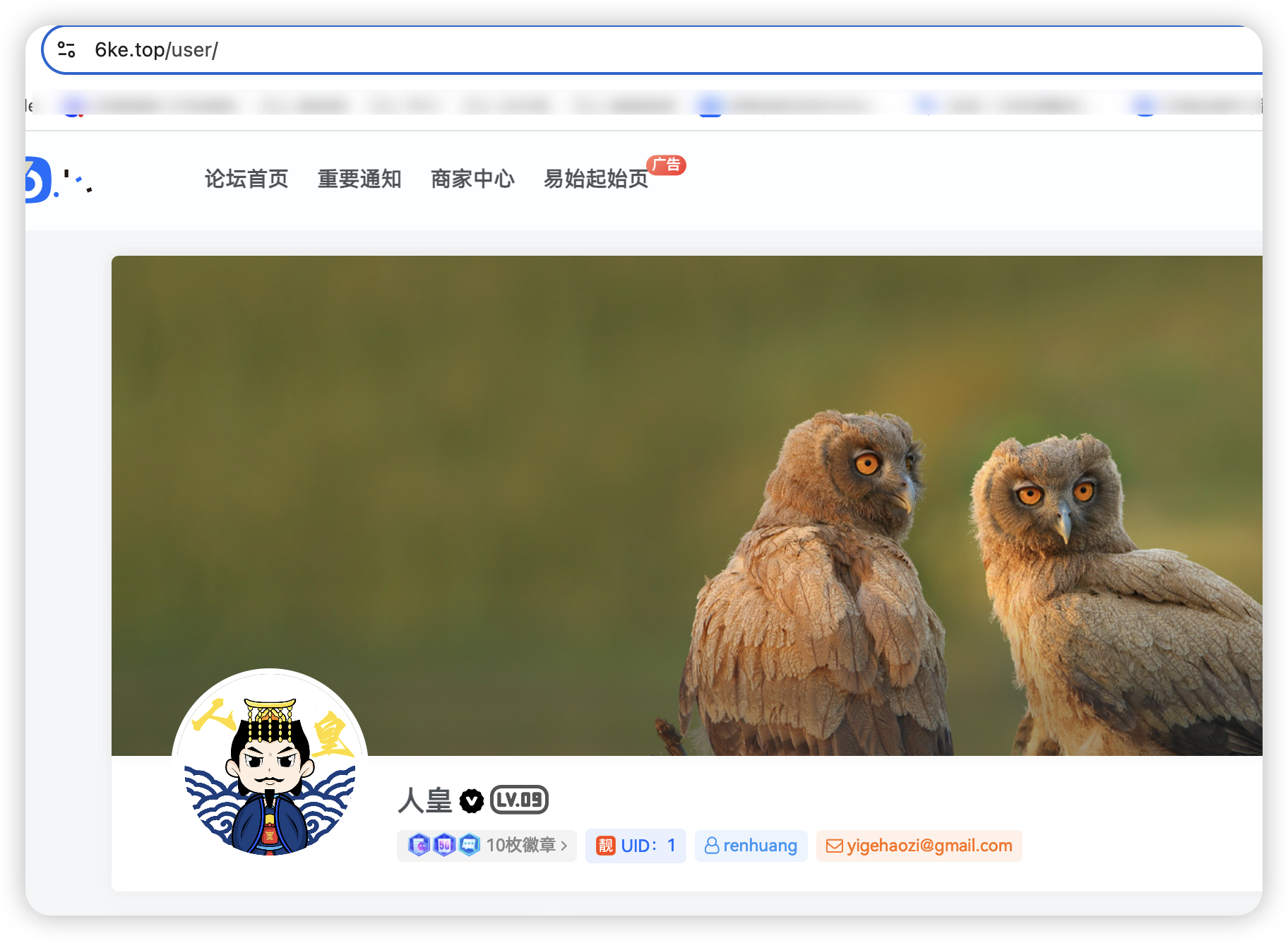 zibll子比ID展示带靓字插件-6ke论坛_子比主题靓号插件-CSDN博客