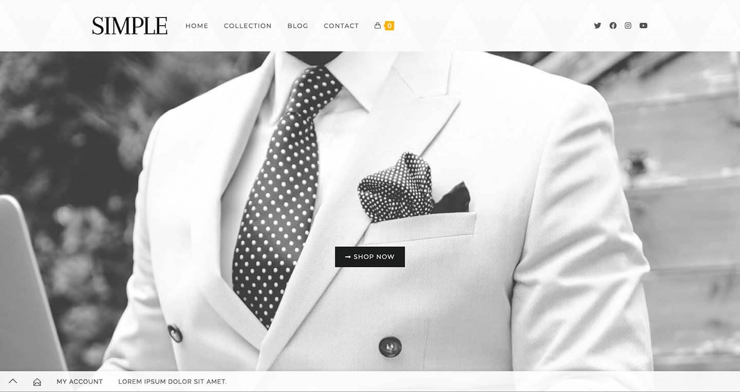 14款免费的OceanWP主题介绍及案例预览-CSDN博客