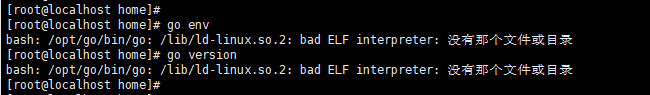 Lib Ld Linux So 2 Bad Elf Interpreter 没有那个文件或目录 Csdn博客