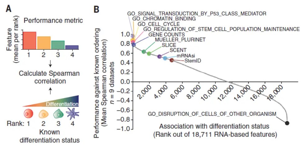 10X单细胞轨迹分析（拟时分析）之cytotrace-CSDN博客