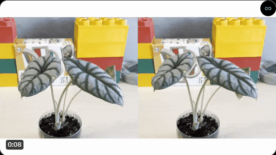 PhysDreamer：通过视频生成与 3D 对象进行基于物理的交互-CSDN博客