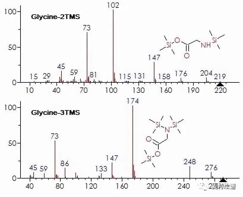 GC/MS代谢组学Q&A代谢_gc-ms一个化合物可以出多个峰吗-CSDN博客