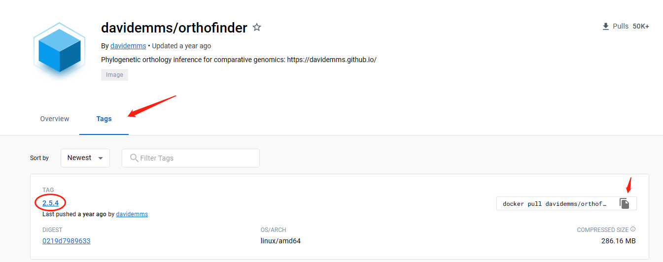 OrthoFinder做一个12个真菌的系统发育树-CSDN博客