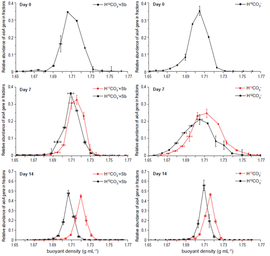 FEMS：广东生态所孙蔚旻组利用DNA-SIP宏基因组揭示锑氧化微生物及其代谢途径...-CSDN博客