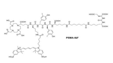 PSMA I＆F，prostate specific membrane antigen，一种Ⅱ型跨膜糖蛋白，具有较高的特异性_psma在pca ...