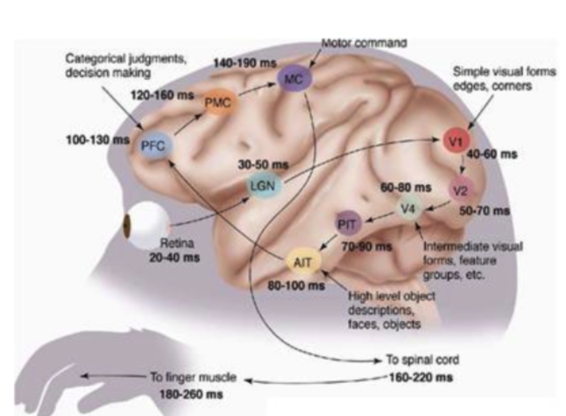 深度学习概念及开发流程深度学习与项目开发将下发的birdgame项目使用idea打开可以在原程序中任何类里面 Csdn博客