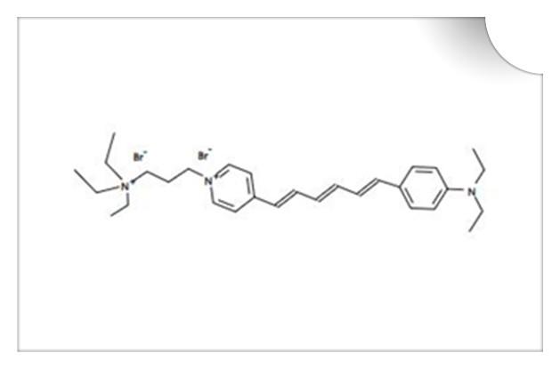 FM4-64膜电位荧光探针，激发波长：558（nm）发射波长：734（nm）_fm4–64染液-CSDN博客