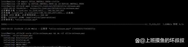 动手打造个人Zfile开源网盘并反向代理域名访问_zfile只查阅-CSDN博客