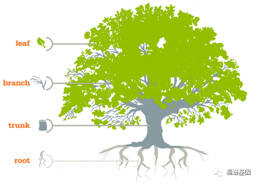 MachineLearning 20. 机器学习之袋装分类回归树(Bagged CART)-CSDN博客
